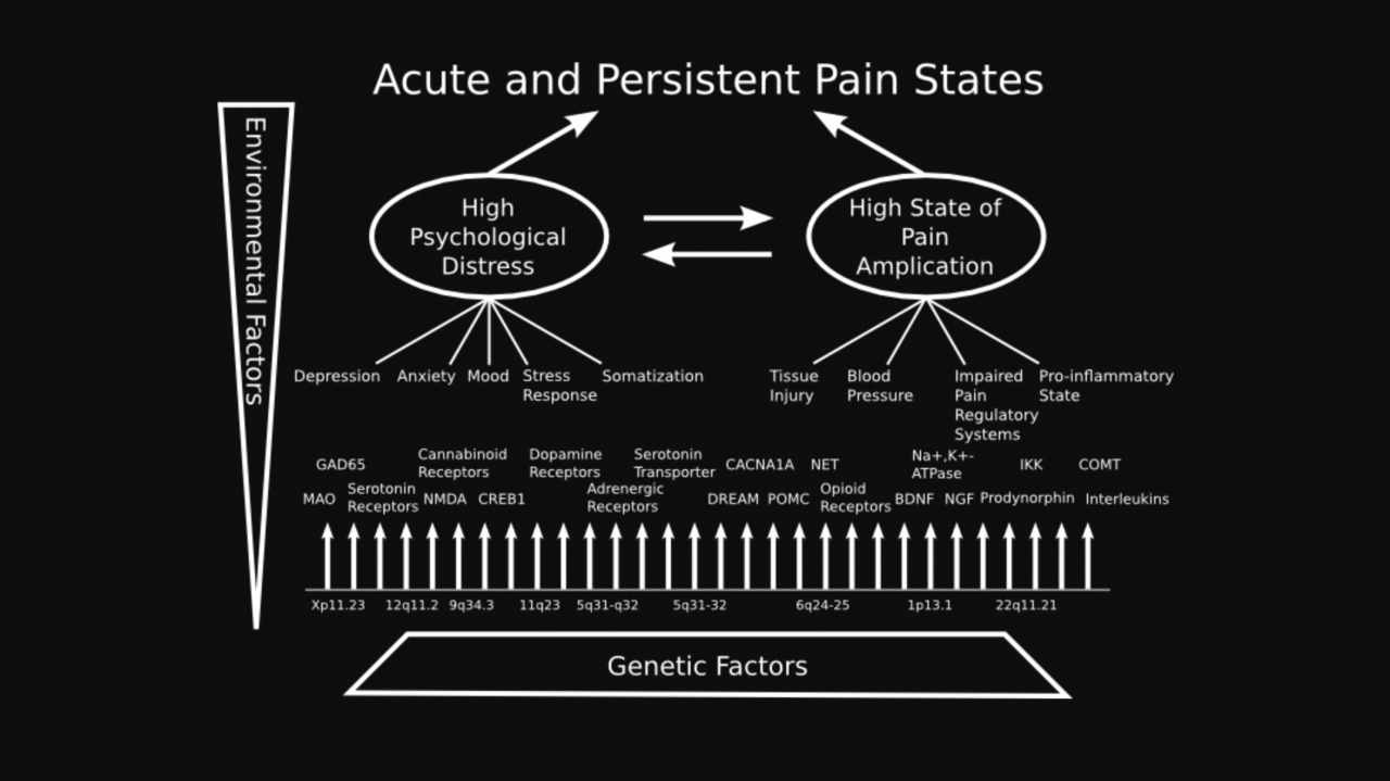 humanpaingenetics.ca | Human Pain Genetics Lab